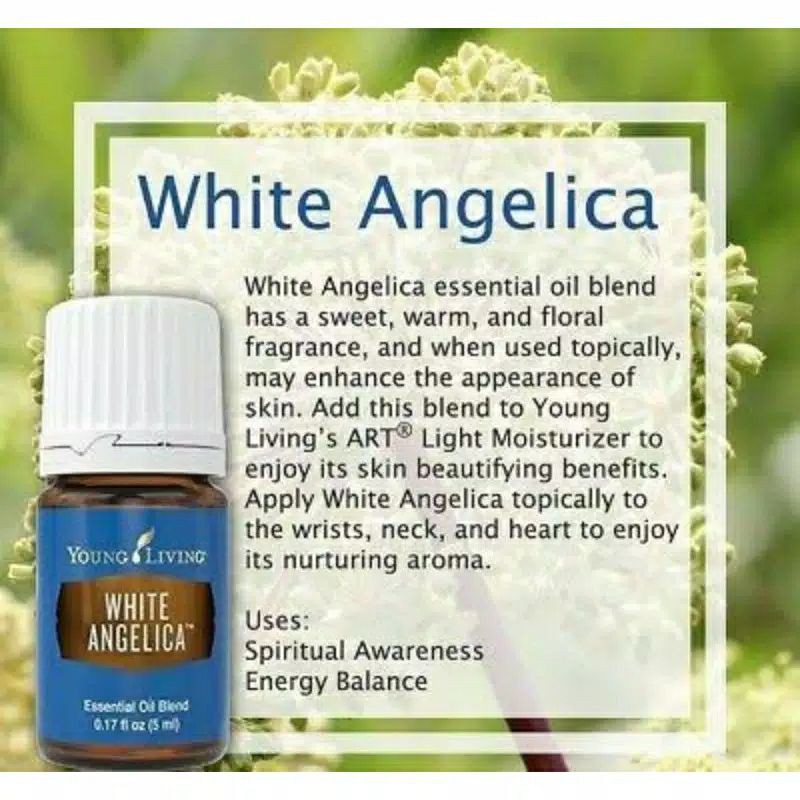 White Angelica Young Living Oil 5ml | Shopee Philippines