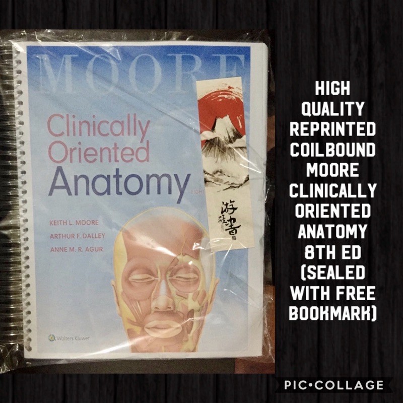 SALE Moore Clinically Oriented Anatomy 8th Edition Textbook | Shopee ...