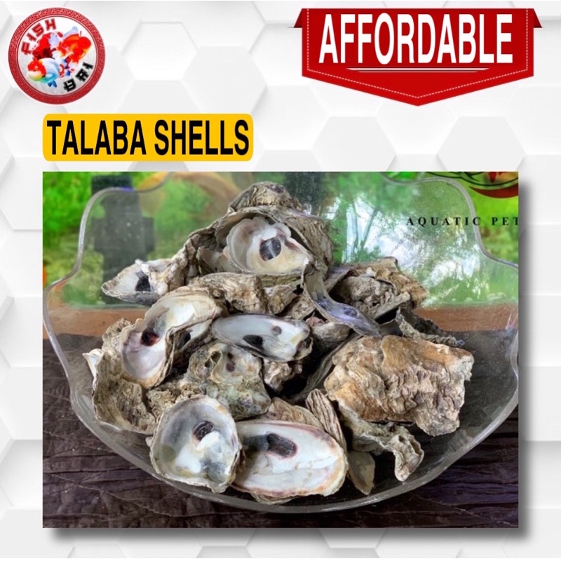 Talaba Oyster Shells Biological Filter Media 500g (Half Kilo) for ...