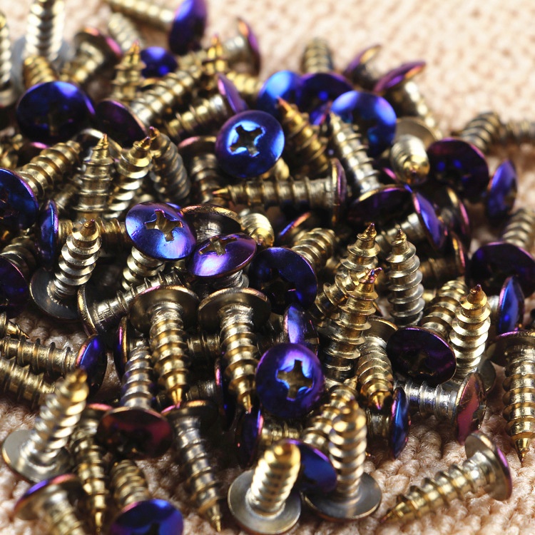 【Ready Stock】10/20/30pcs Stainless Steel M5x15 Titanium Motorcycle ...