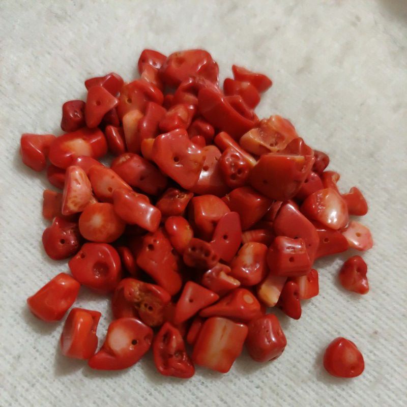CORAL CHIPSTONE 34g(orange) | Shopee Philippines
