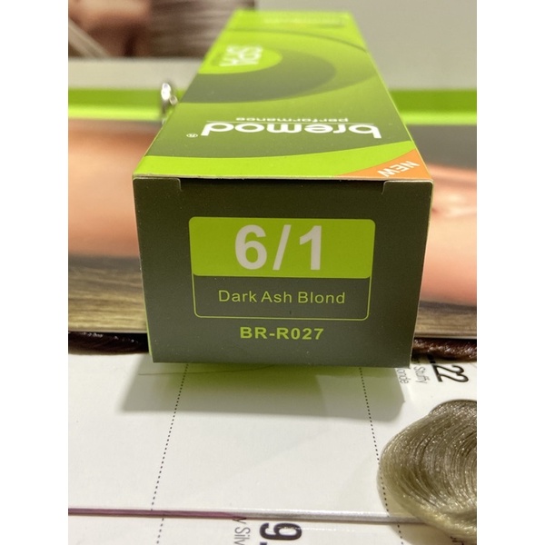 Bremod hair color (Ash) silver gray,metallic gray, very light ash ...