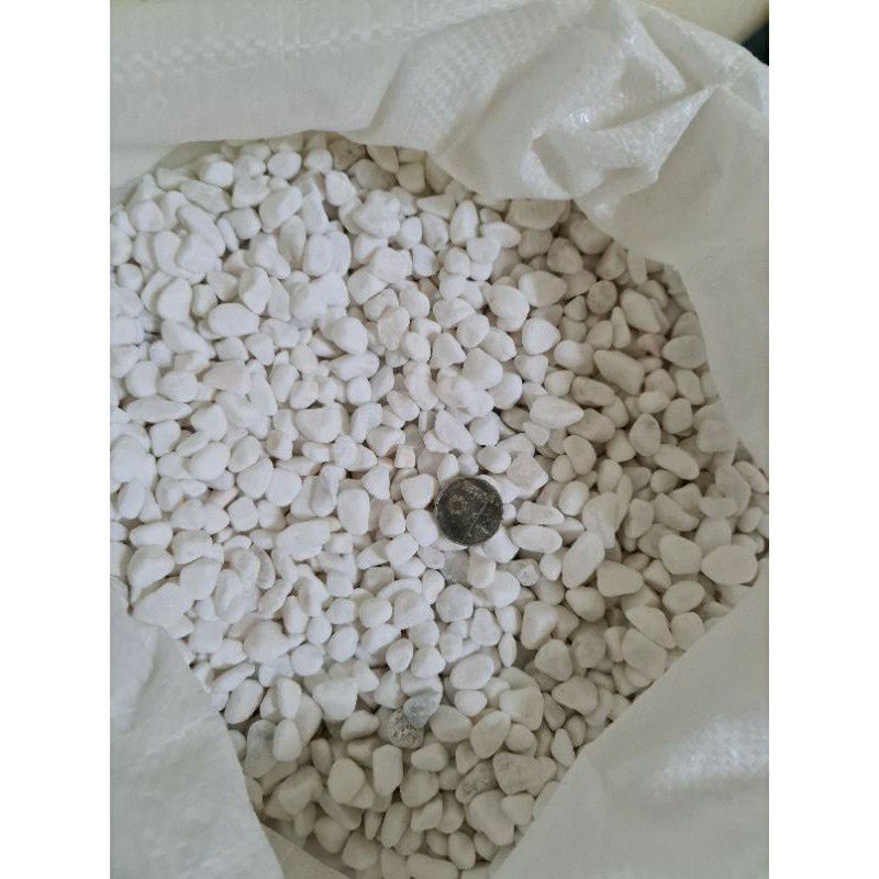 White marble stone/pebbles stone/aquarium stone(1kg) | Shopee Philippines