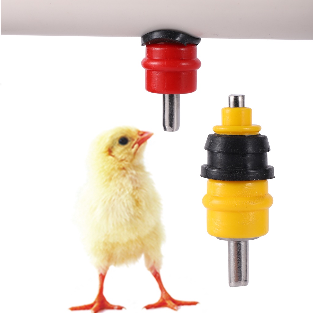 Chicken Nipple Drinker 360 Angle Chicken Quail Pigeon Bird Automatic ...