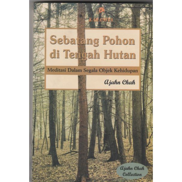 A Tree Of The Middle Forest - Meditation In All Objek Life Of Life ...