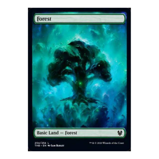 MTG Card BASIC LAND Full Art Textless THB Magic the Gathering Land ...