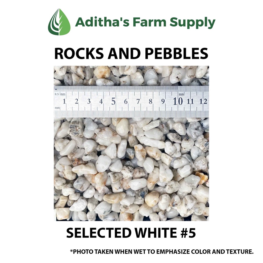 Rocks and Pebbles - 1 kilo | Shopee Philippines