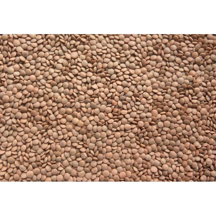 Masoor Sabut Whole Masoor DAL 1KG | Shopee Philippines