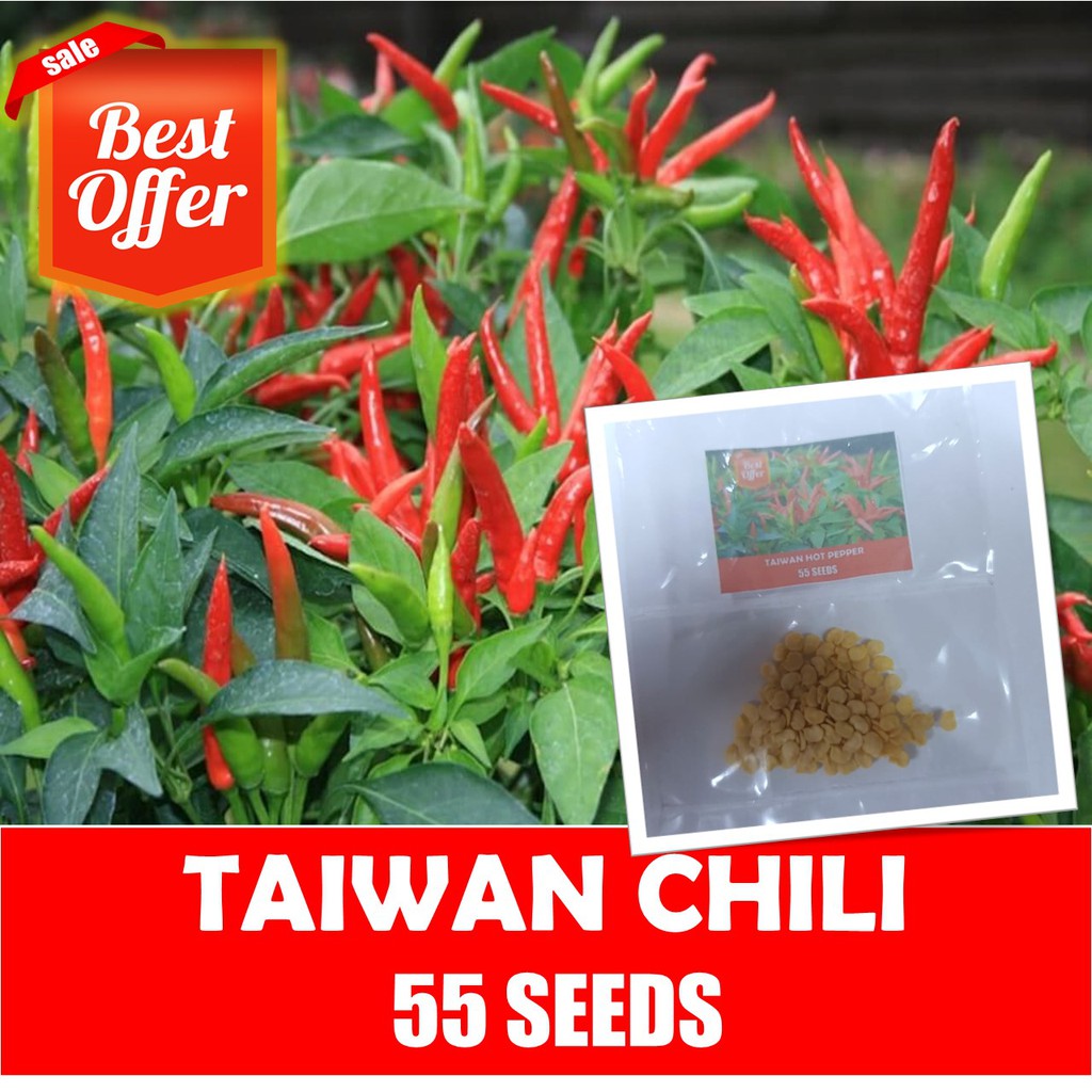 Taiwan Seeds - Hot Pepper SEEDS | Shopee Philippines