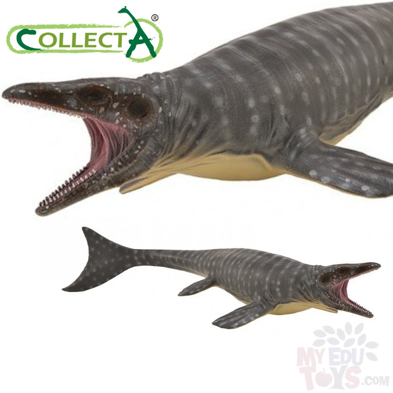 Mosasaurus - Collecta 88677 Prehistoric Life Dinosaur Animal Action ...