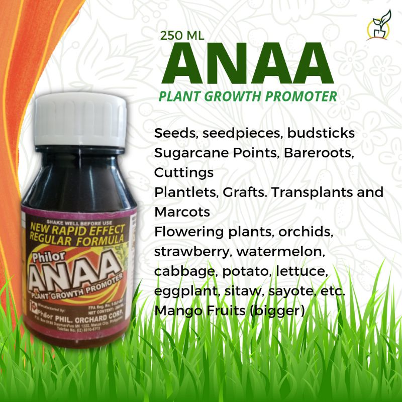 Philor Anaa Plant Growth Promoter 250ml | Shopee Philippines