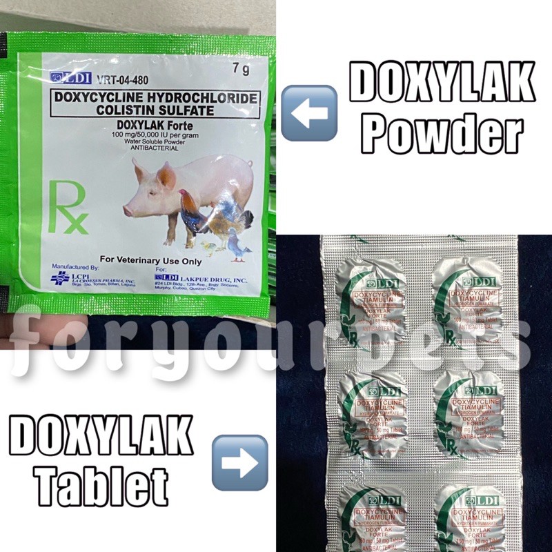Doxylak Forte Tablet and Powder | Shopee Philippines