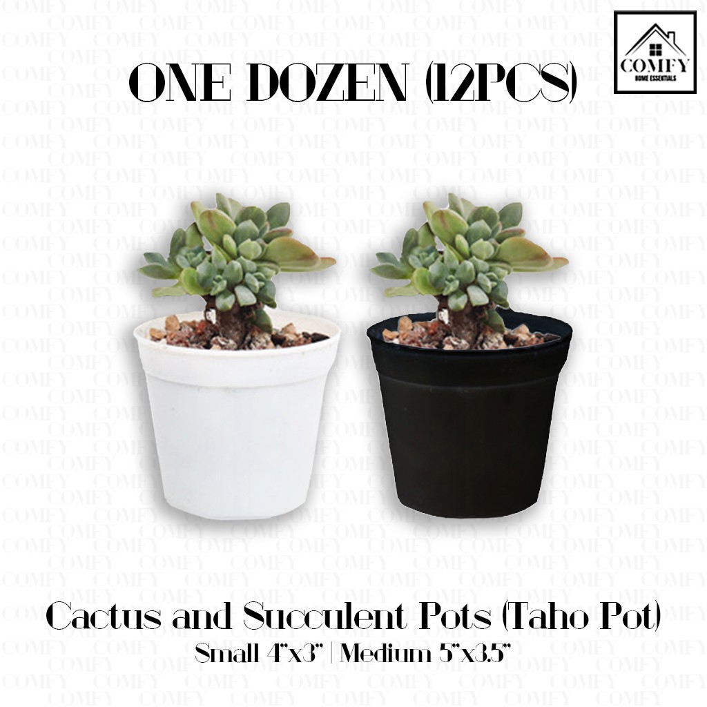 One Dozen (12pcs) Cactus and Succulent Flower Desk Pot, Cute Mini Taho ...