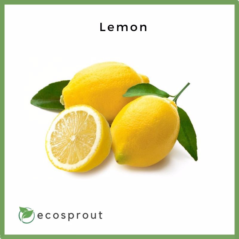 Fresh Lemon | Per 3pcs | Fresh Vegetables | Fresh Fruits | Groceries ...
