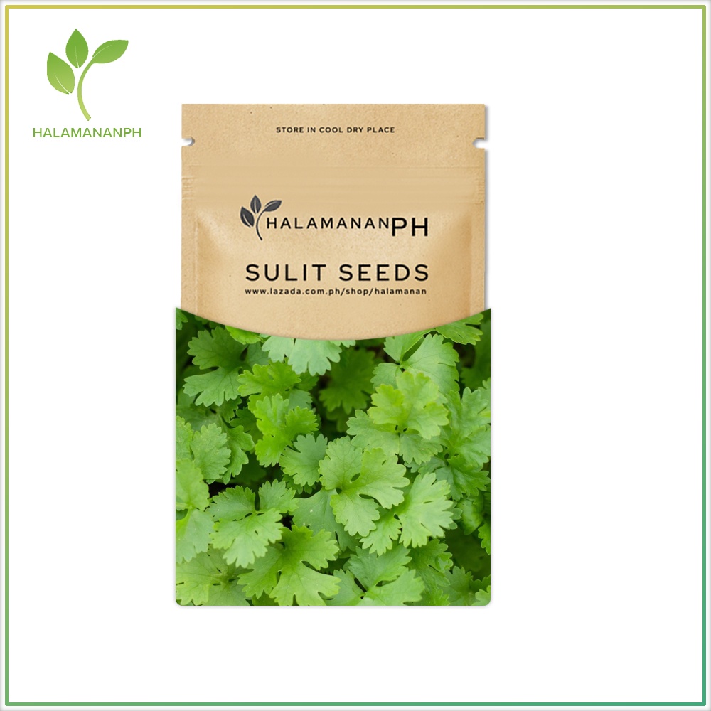 CORIANDER - CILANTRO - WANSOY VEGETABLE SEEDS SULIT SEED PACK ...