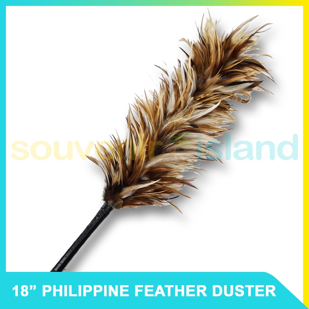 20" Philippine Cleaning Feather Duster (Pantay) | Shopee Philippines