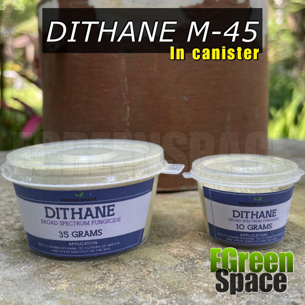 DITHANE - 35grams (in canister) | Shopee Philippines