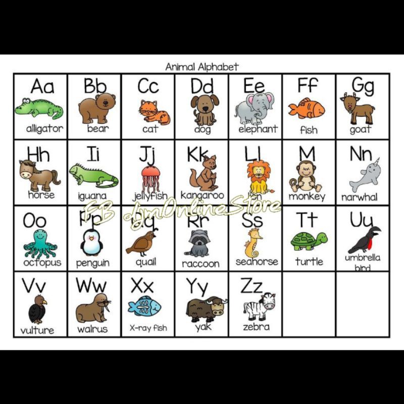 animals educational poster chart Lamniated learning material | Shopee ...