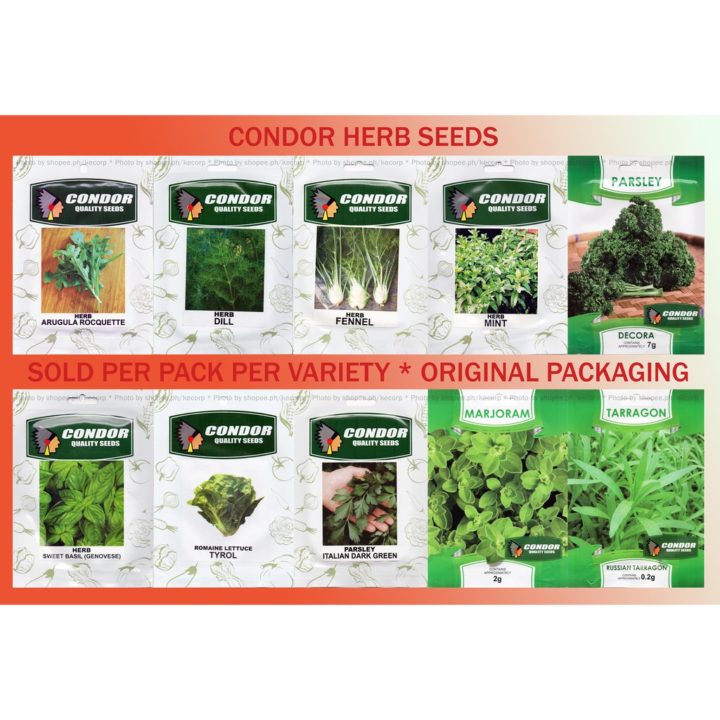 Condor Herbs Seeds - Sold per Pack per Variety KECORP_S1 | Shopee ...