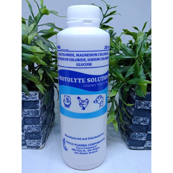 Protolyte Solution - Vitamin/Electrolyte ( 250 mL ) | Shopee Philippines