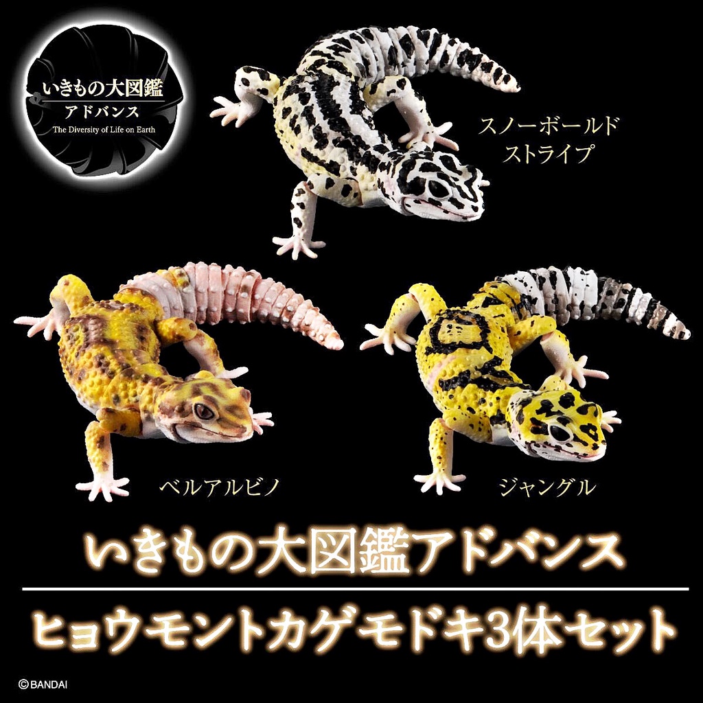 Smiley Gachapon Bandai Ikimono Encyclopedia Leopard Gecko "Special ...