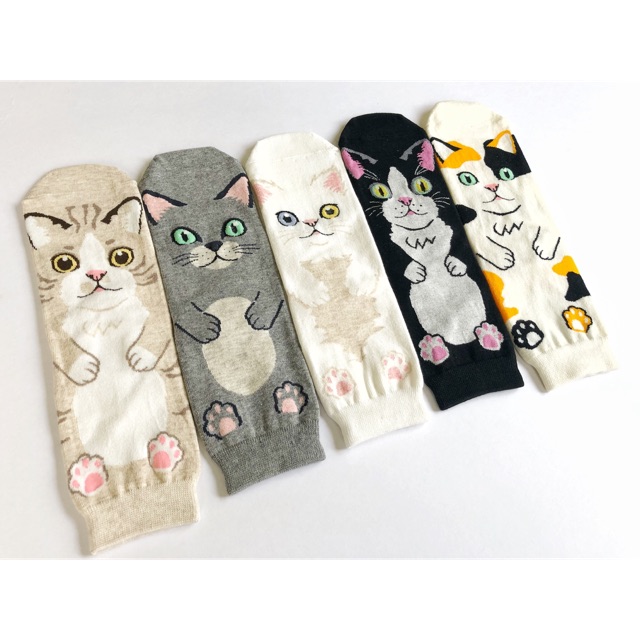 CAT TUMMY Kittens Tuxedo Persian Calico Tabby -Korean Iconic Socks Cool ...
