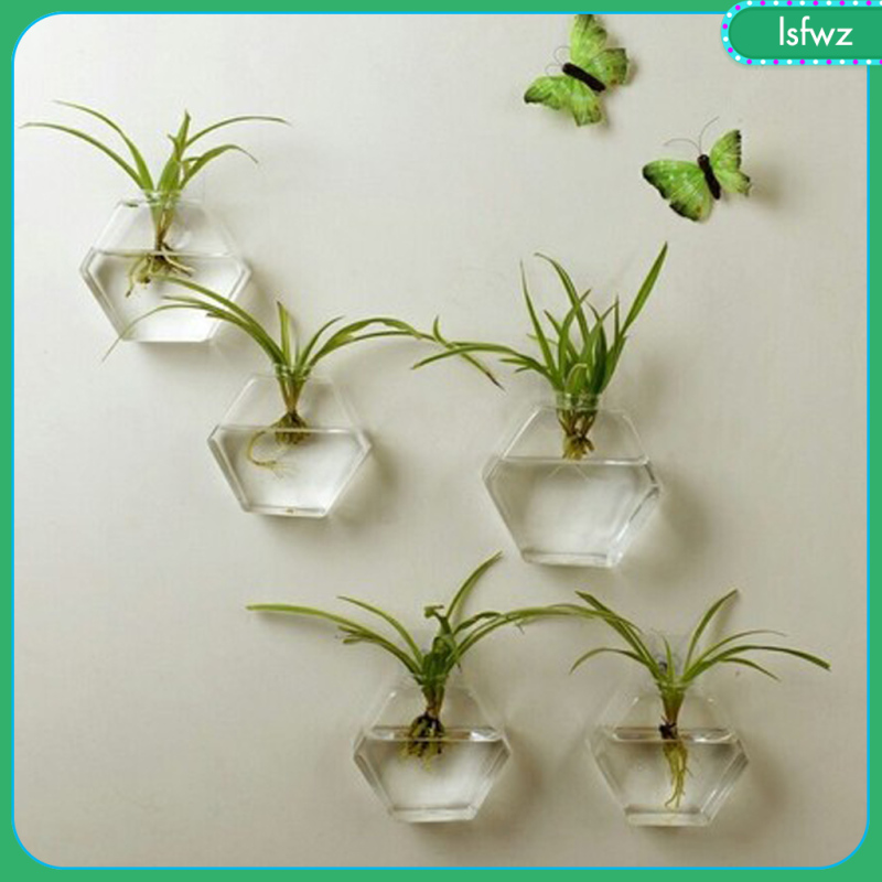 Glass Planters Wall Mounted Hanging Planters Round Glass Plant Pots ...