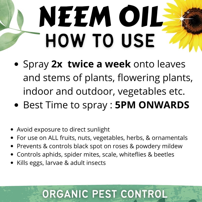 ROYAL GARDEN Gallon Neem Oil Spray Refill 3750mL | Shopee Philippines