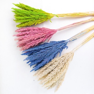 Dried Trigo Flower (half or whole bundle) | Shopee Philippines