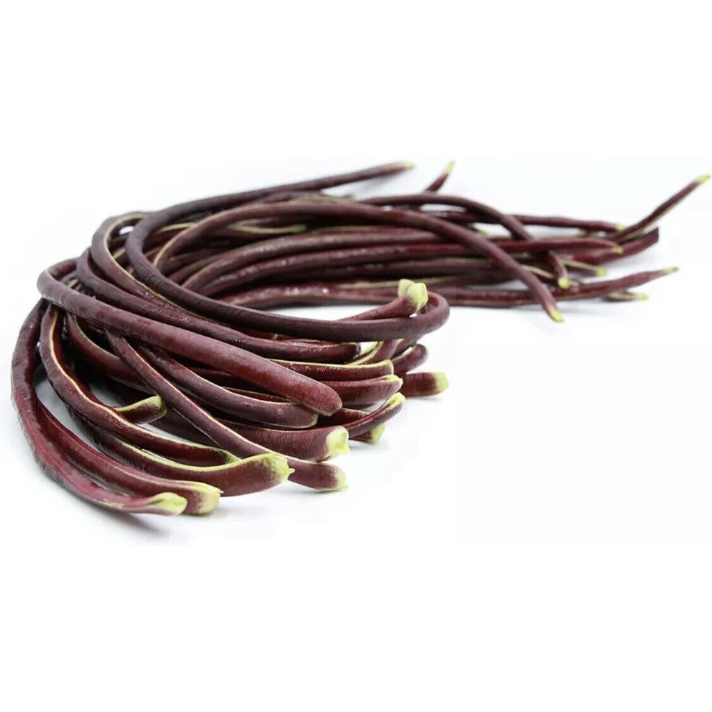 DWARF SNAKE BEAN Burgundy 5 Seeds HEIRLOOM vegetable garden COMPACT ...