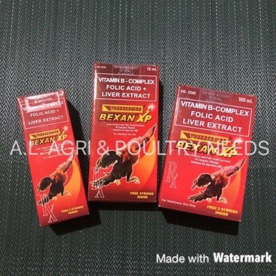 Thunderbird BEXAN XP B-Complex + Folic Acid + Liver Extract (10/20 ...