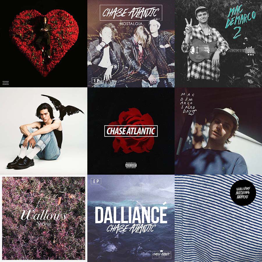Wallows/Chase Atlantic/Conan Gray/Mac Demarco Album Covers [Vinyl-Style ...