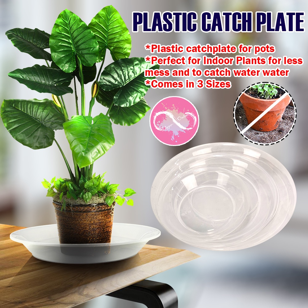 High Quality Transparent Plastic Catch Plate plato for Pot/Tray Pot ...