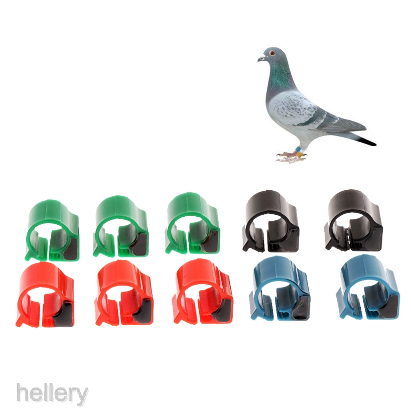 10x Bird Pigeon Electronic Foot Tag For Tracking | Shopee Philippines