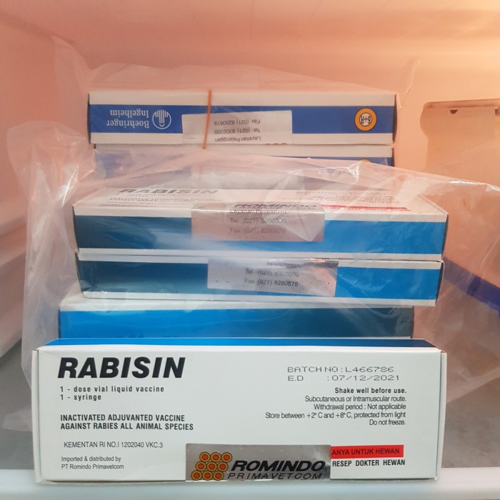 1Box Vaccine Rabies with Spuit Needle for Cats and Dogs | Shopee ...
