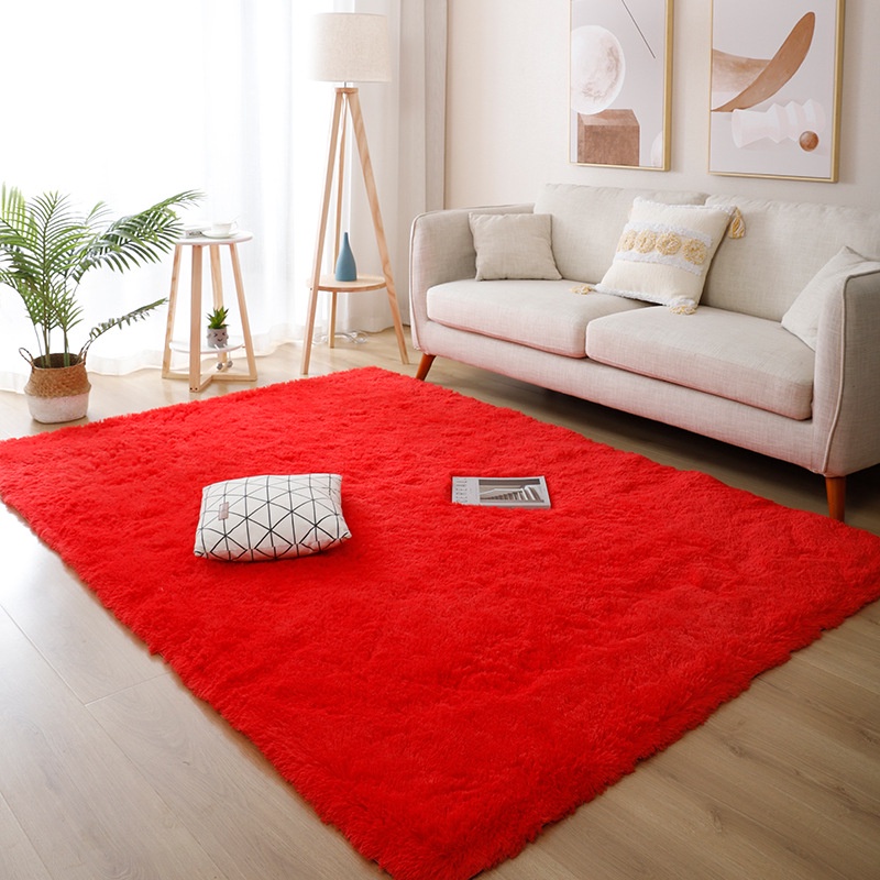 HOMEYOUNG Big Size Fluffy Rugs Anti-Skid Shaggy Area Rug Room Home ...