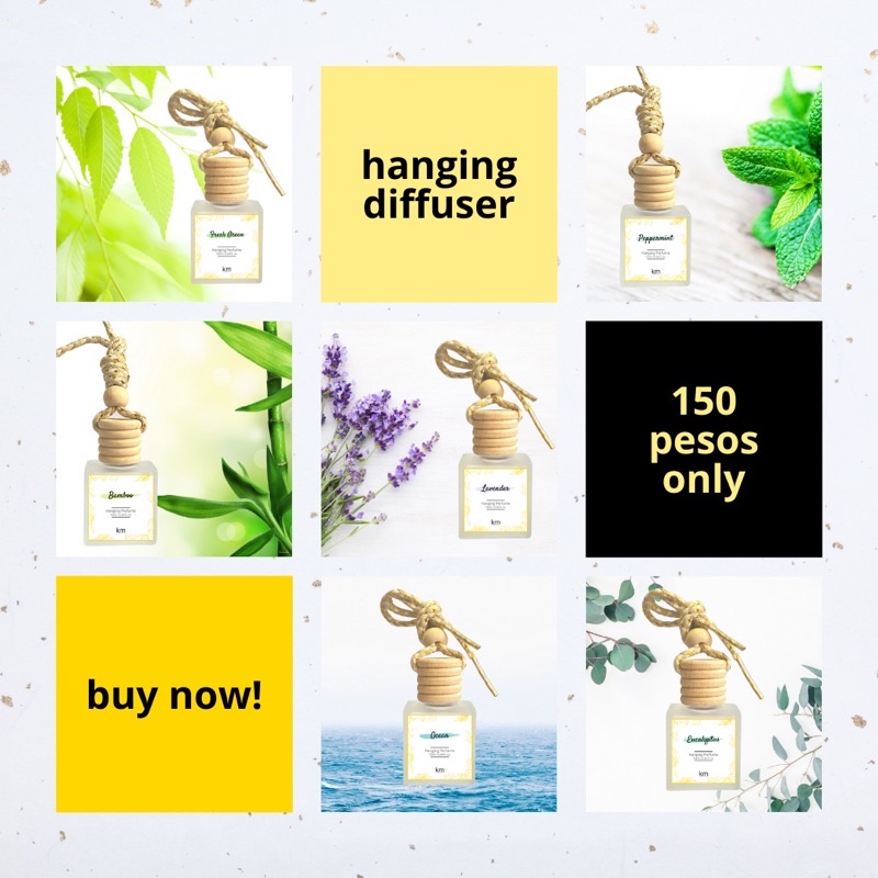 Hanging Diffuser for Car and Home (Hanging Perfume) | Shopee Philippines