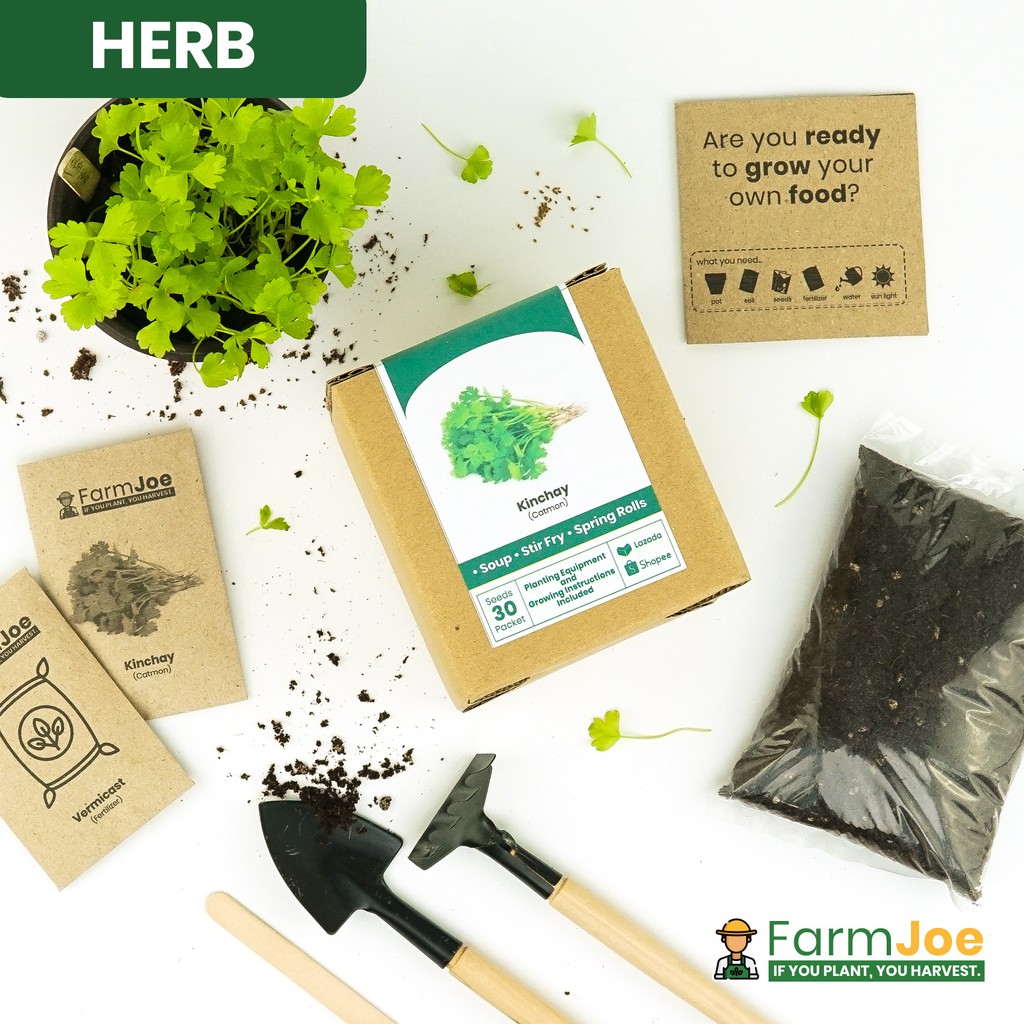 Growing Kit KINCHAY • Seedling Kit • Seed Starting Kit • Grow Kit ...