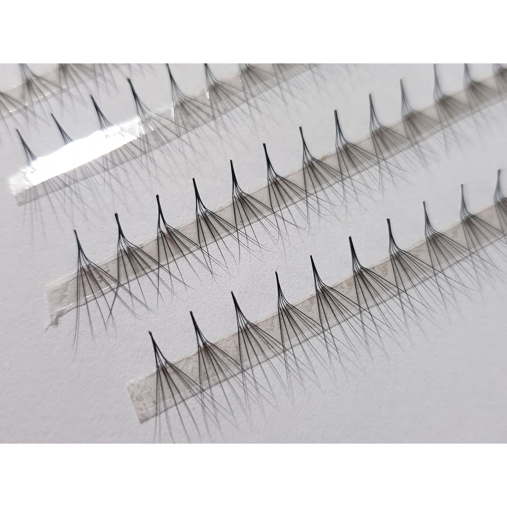 LASH MANILA L CURL PROMADE FANS | Shopee Philippines