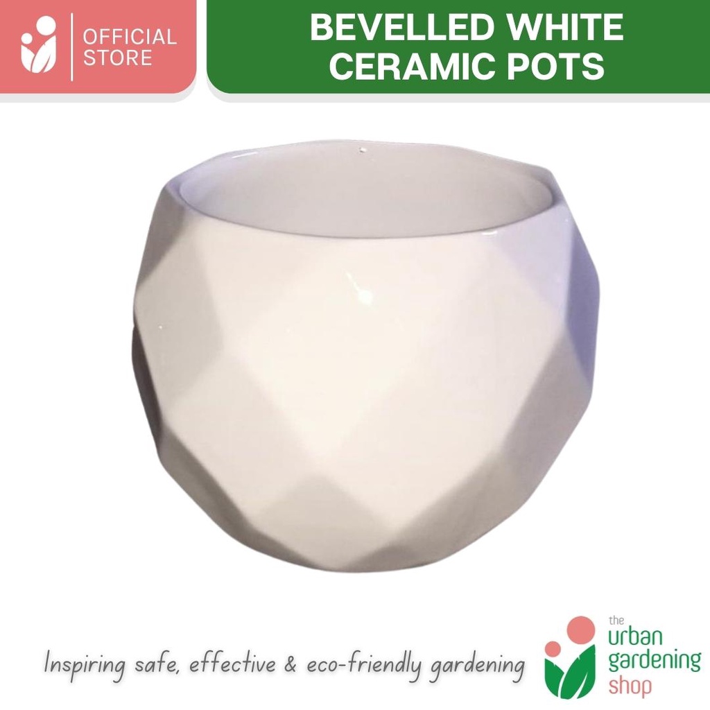 THE URBAN GARDENING SHOP Bevelled Design White Ceramic Pots | Shopee ...