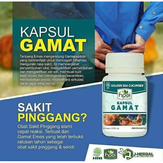 Gamat Hni Capsules Extra Hpai Golden Medication Herbal Medicine ...
