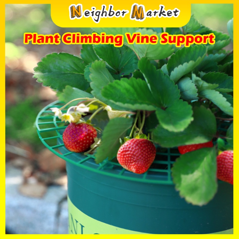 Round Plastic Strawberry Stand Balcony Grow Vegetables Fruit Climbing ...