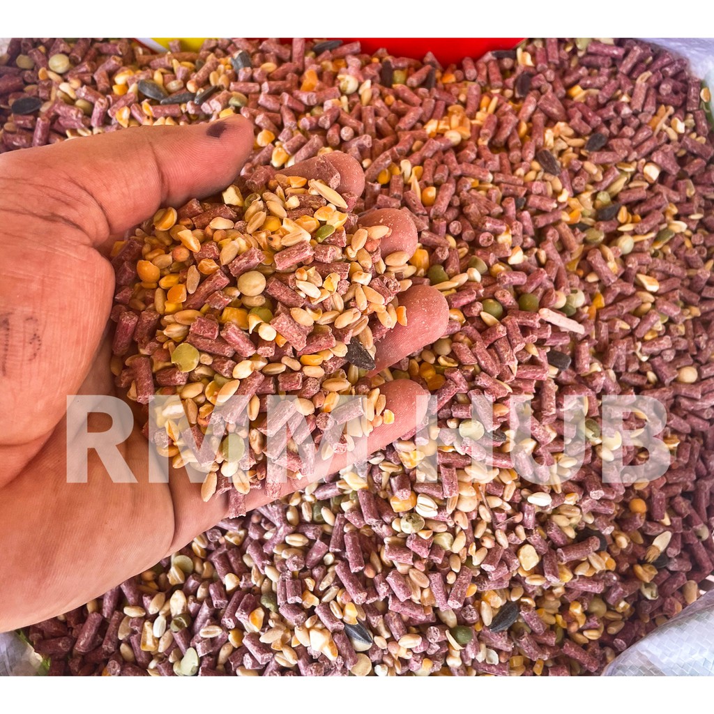 FIREBIRD READY CON 1KG - RMM HUB | Shopee Philippines