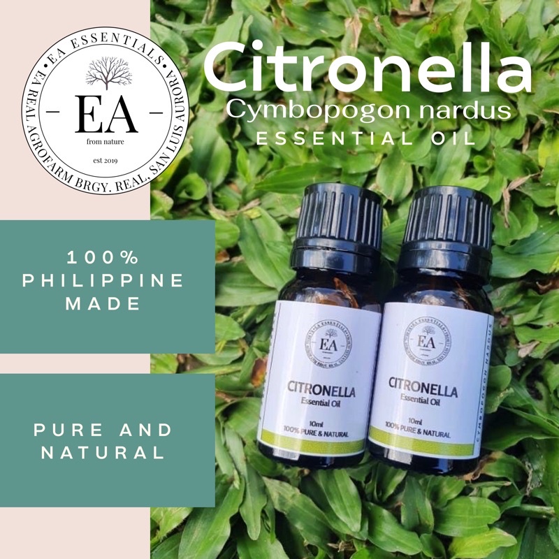 CITRONELLA ESSENTIAL OIL |PURE AND NATURAL| PROUDLY PHILIPPINE MADE ...