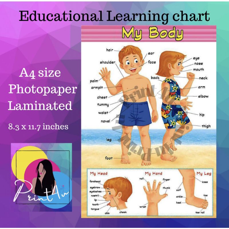 My Body Learning Chart - A4 Laminated | Shopee Philippines