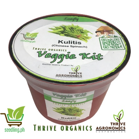 Kulitis Chinese Spinach Veggie Kit Grow Kit Seedling Kit Starter Kit ...