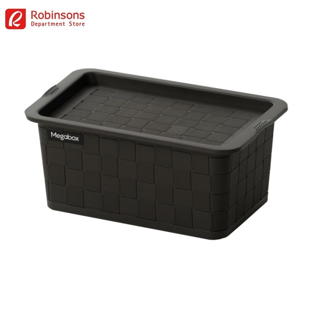 Megabox Boho Storage Box - Large | Shopee Philippines
