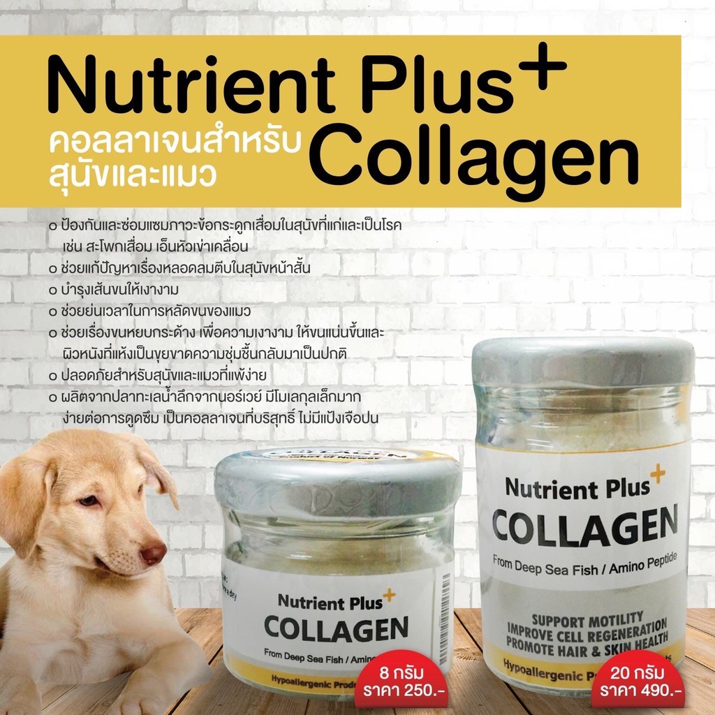 NUTRIENT PLUS COLLAGEN Supplement For Dogs And Cats. Reduce Hair Loss 20g. | Shopee Philippines