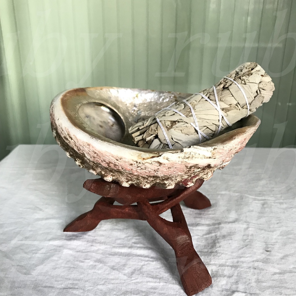 Natural abalone shell, white sage aromatherapy and wood base | Shopee ...