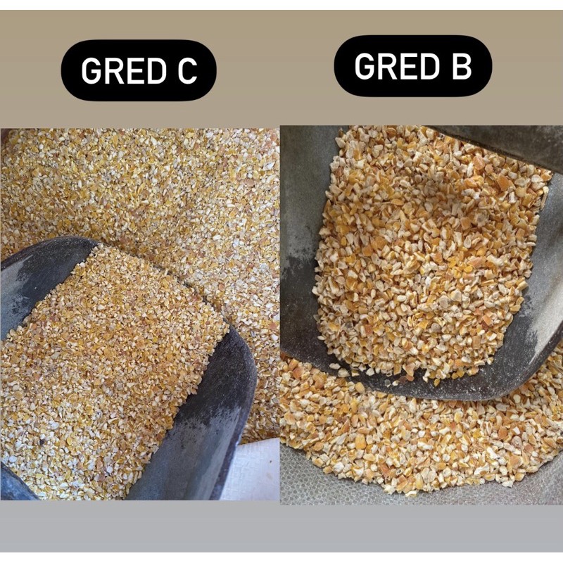 Chicken Corn Grade (B/C) Fine/Kasar Chicken Feed Fine Maize Corn ...